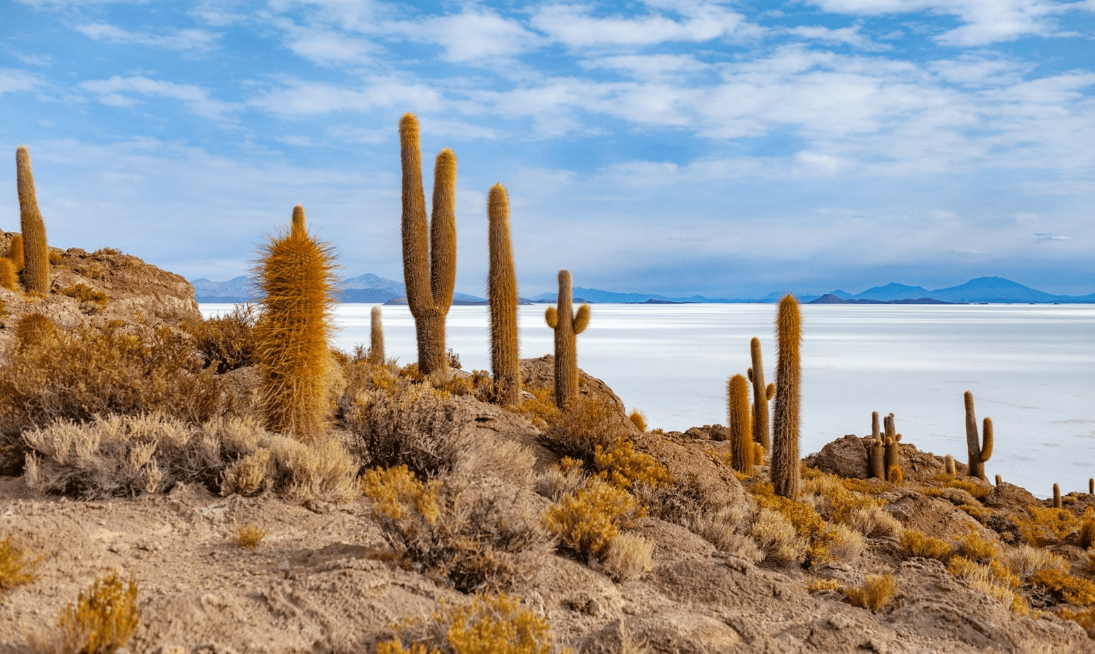 Интересные факты о Боливии: законы, традиции, история и культура - Переезд на relife.global